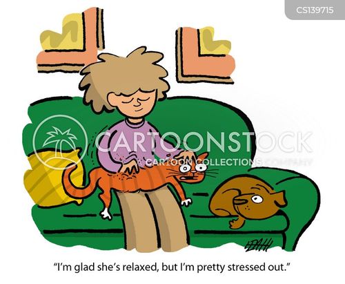Cat Lady Cartoons and Comics - funny pictures from CartoonStock