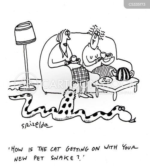 Cat Snake Cartoons and Comics - funny pictures from CartoonStock