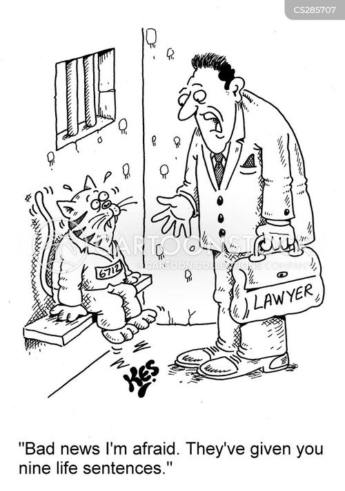 Prisoner Cell Cartoons and Comics - funny pictures from CartoonStock