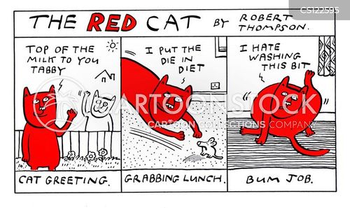 The Red Cat Cartoons and Comics - funny pictures from CartoonStock