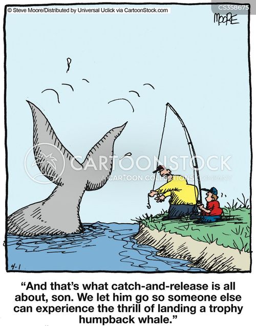 Humpback Whale Cartoons and Comics - funny pictures from CartoonStock