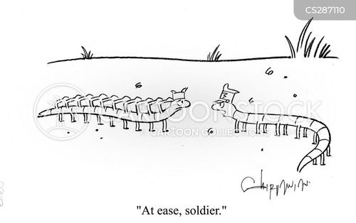 Lieutenant Cartoons and Comics - funny pictures from CartoonStock