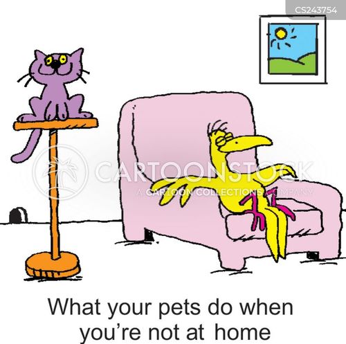 Mess Around Cartoons and Comics - funny pictures from CartoonStock