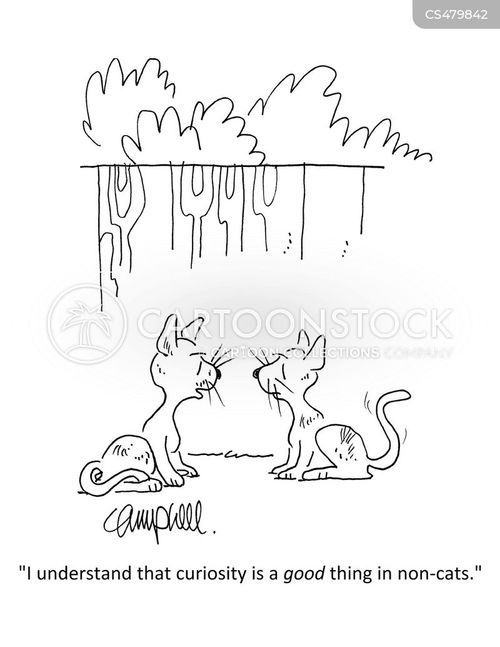 Curiousness Cartoons and Comics - funny pictures from CartoonStock