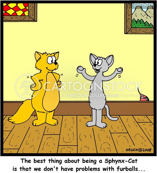 Furball Cartoons and Comics - funny pictures from CartoonStock