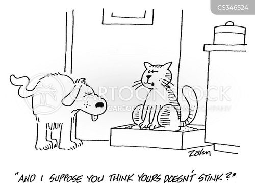 Smelly Cat Cartoons and Comics - funny pictures from CartoonStock