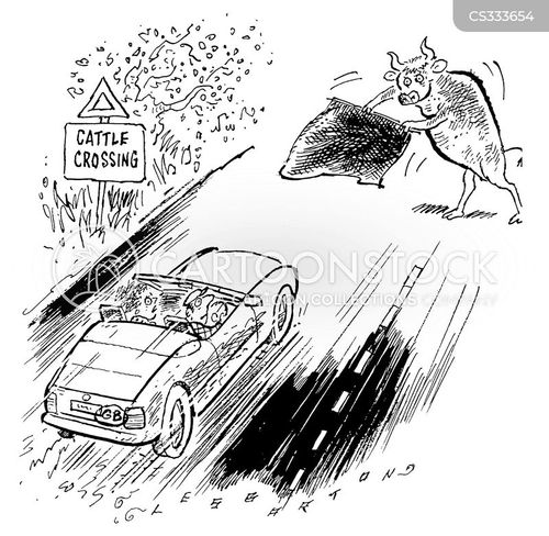 Cattle Crossing Cartoons and Comics - funny pictures from CartoonStock