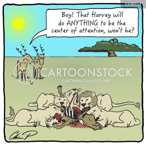 Center Of Attention Cartoons and Comics - funny pictures from CartoonStock
