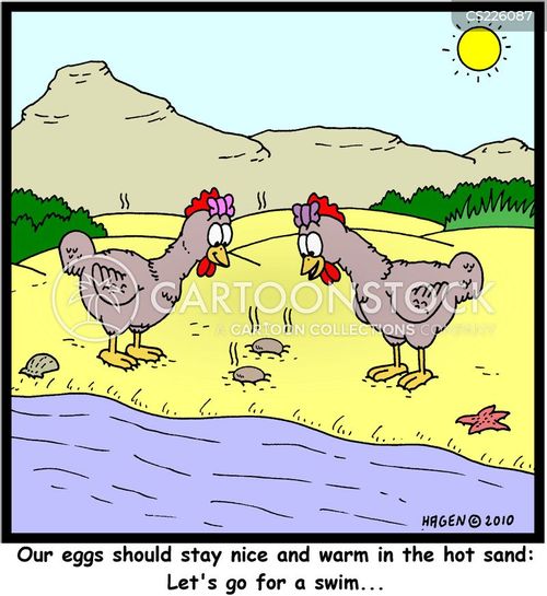 Roost Cartoons and Comics - funny pictures from CartoonStock