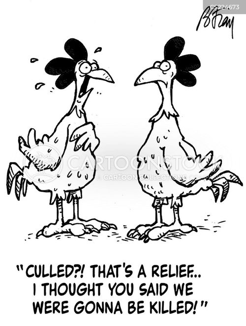 Culled Cartoons and Comics - funny pictures from CartoonStock