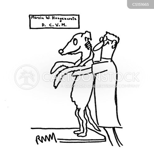 Chiropractor Treatment Cartoons And Comics Funny Pictures From