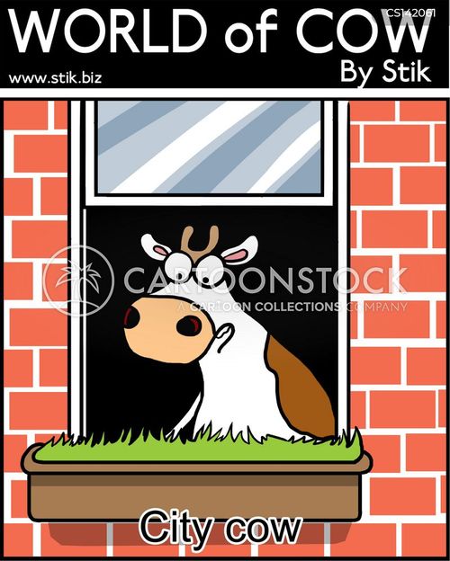 Windo Box Cartoons and Comics - funny pictures from CartoonStock