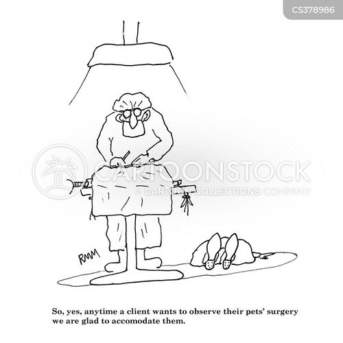 Ethical Veterinary Practice Cartoons and Comics - funny pictures from ...