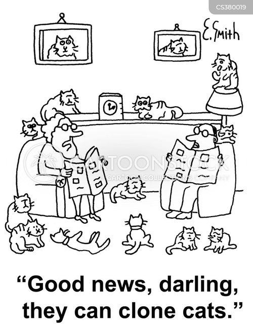 Cat People Cartoons and Comics - funny pictures from CartoonStock