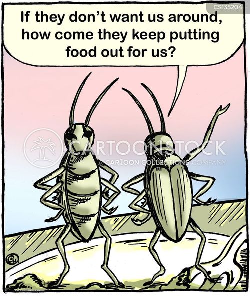 Kitchen Hygiene Cartoons and Comics - funny pictures from CartoonStock