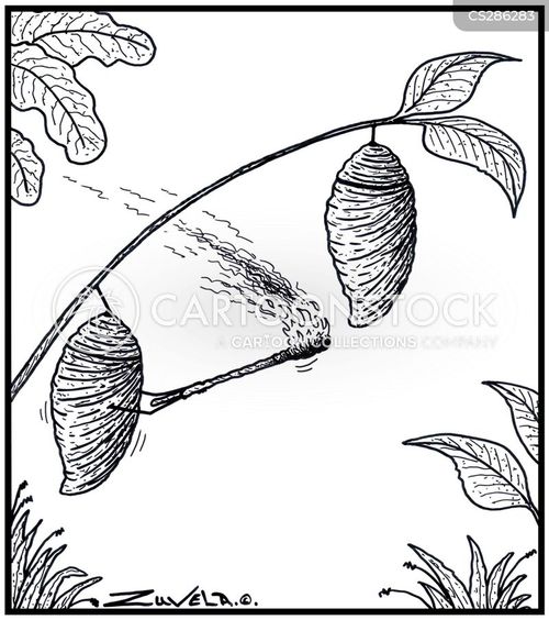 Cocoon Cartoons and Comics - funny pictures from CartoonStock