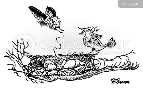 Hatching Cartoons and Comics - funny pictures from CartoonStock