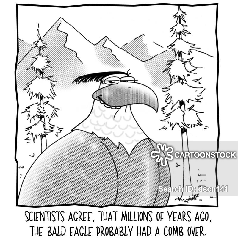 Comb Over Cartoons and Comics - funny pictures from CartoonStock