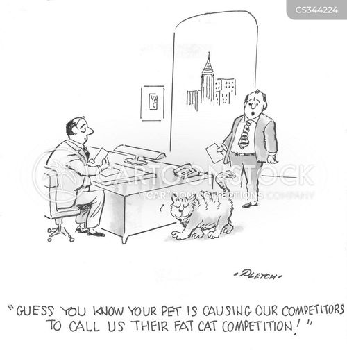 Cat Competition Cartoons and Comics - funny pictures from CartoonStock