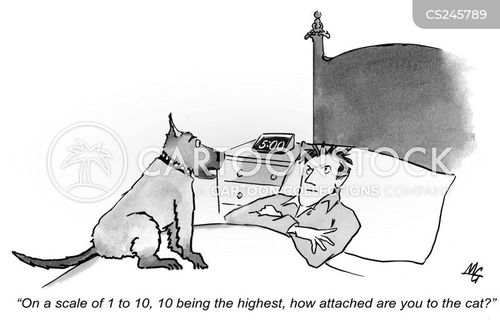 Guilty Cat Cartoons and Comics - funny pictures from CartoonStock