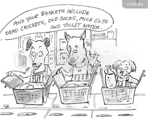 Cooking Competition Cartoons and Comics - funny pictures from CartoonStock