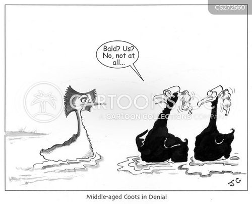 Coot Cartoons and Comics - funny pictures from CartoonStock