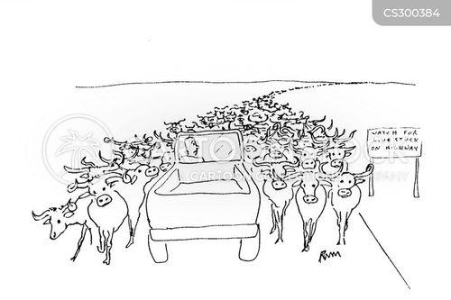 Dirves Cartoons and Comics - funny pictures from CartoonStock