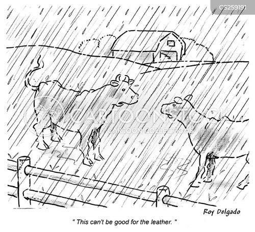 Cow Skin Cartoons and Comics - funny pictures from CartoonStock