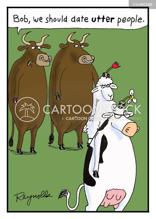 Cattle Courtship Cartoons and Comics - funny pictures from CartoonStock