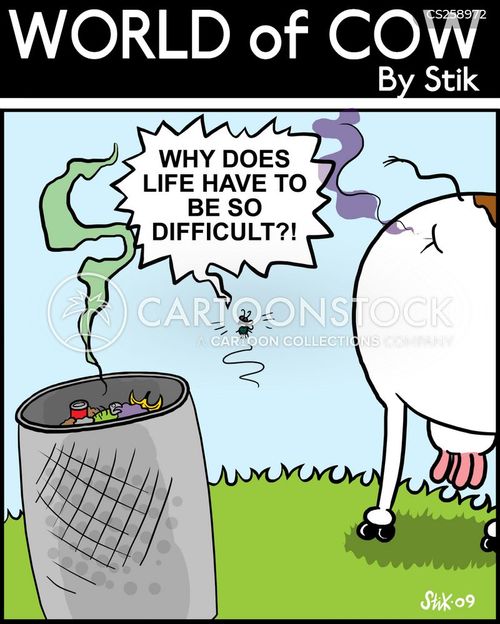 Difficult Choice Cartoons and Comics - funny pictures from CartoonStock