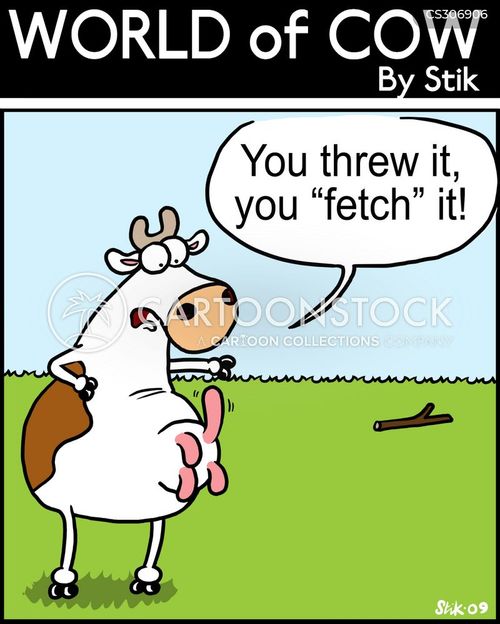Throwing Sticks Cartoons and Comics - funny pictures from CartoonStock