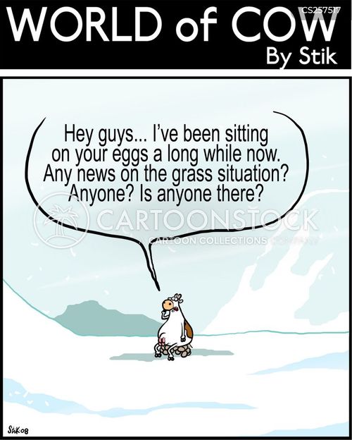 Egg Laying Cartoons and Comics - funny pictures from CartoonStock