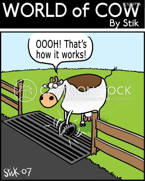 Cattle Grid Cartoons and Comics - funny pictures from CartoonStock