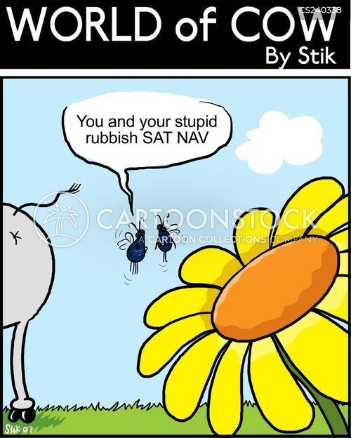 Satelite Navigation Cartoons and Comics - funny pictures from CartoonStock