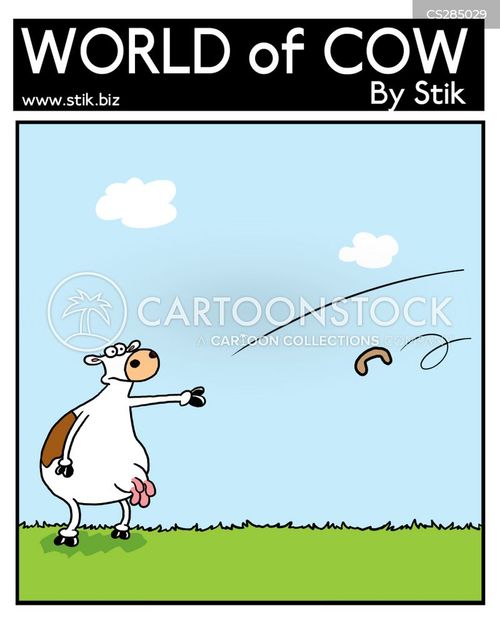 Highland Cows Cartoons and Comics - funny pictures from CartoonStock