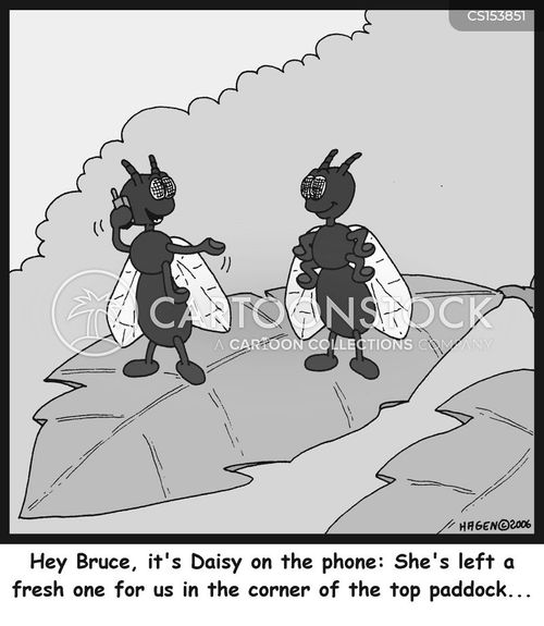 Flies On Shit Cartoons and Comics - funny pictures from CartoonStock