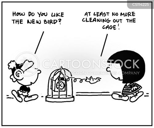 Cuckoo In The Nest Cartoons and Comics - funny pictures from CartoonStock
