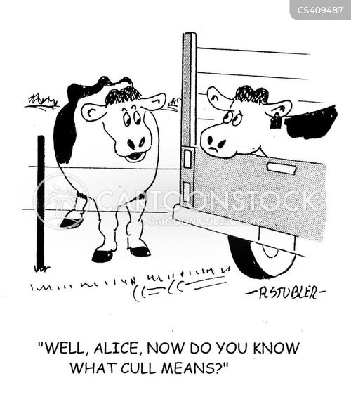 Beef Farming Cartoons and Comics - funny pictures from CartoonStock
