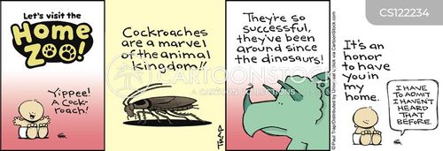 Cockroach Cartoons and Comics - funny pictures from CartoonStock