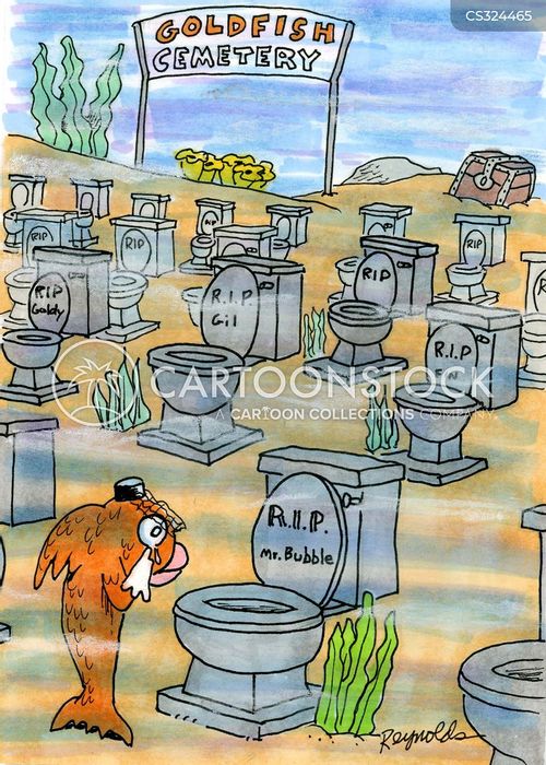 Lament Cartoons and Comics - funny pictures from CartoonStock