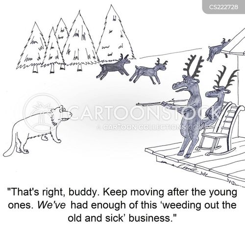 Aarp Cartoons and Comics - funny pictures from CartoonStock