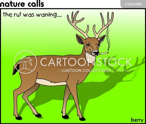 Rut Cartoons and Comics - funny pictures from CartoonStock