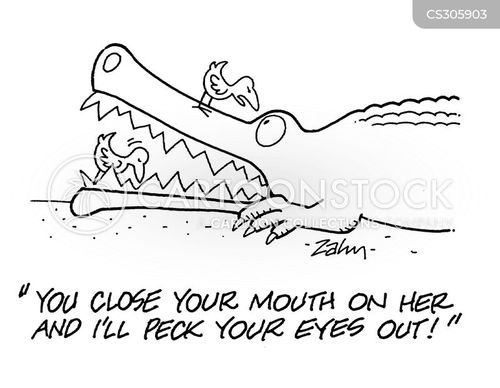 Bird Attack Cartoons and Comics - funny pictures from CartoonStock