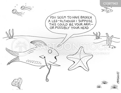 Starfish Cartoons and Comics - funny pictures from CartoonStock