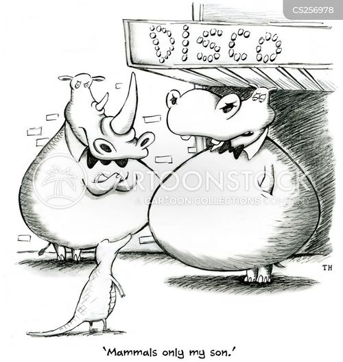 Caste War Cartoons and Comics - funny pictures from CartoonStock