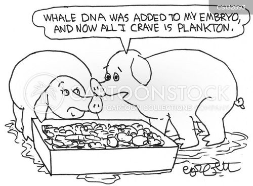 Food Craving Cartoons and Comics - funny pictures from CartoonStock