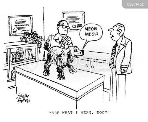 Meow Cartoons and Comics - funny pictures from CartoonStock