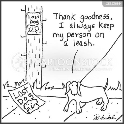 Lost Dog Cartoons and Comics - funny pictures from CartoonStock