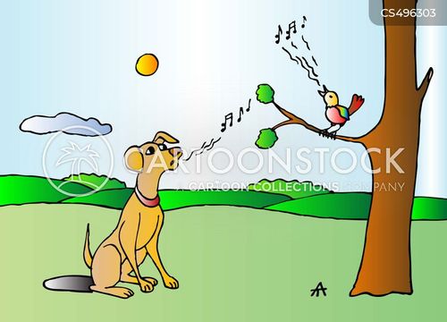 Duet Cartoons and Comics - funny pictures from CartoonStock