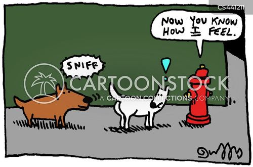 Ip Address Cartoons and Comics - funny pictures from CartoonStock